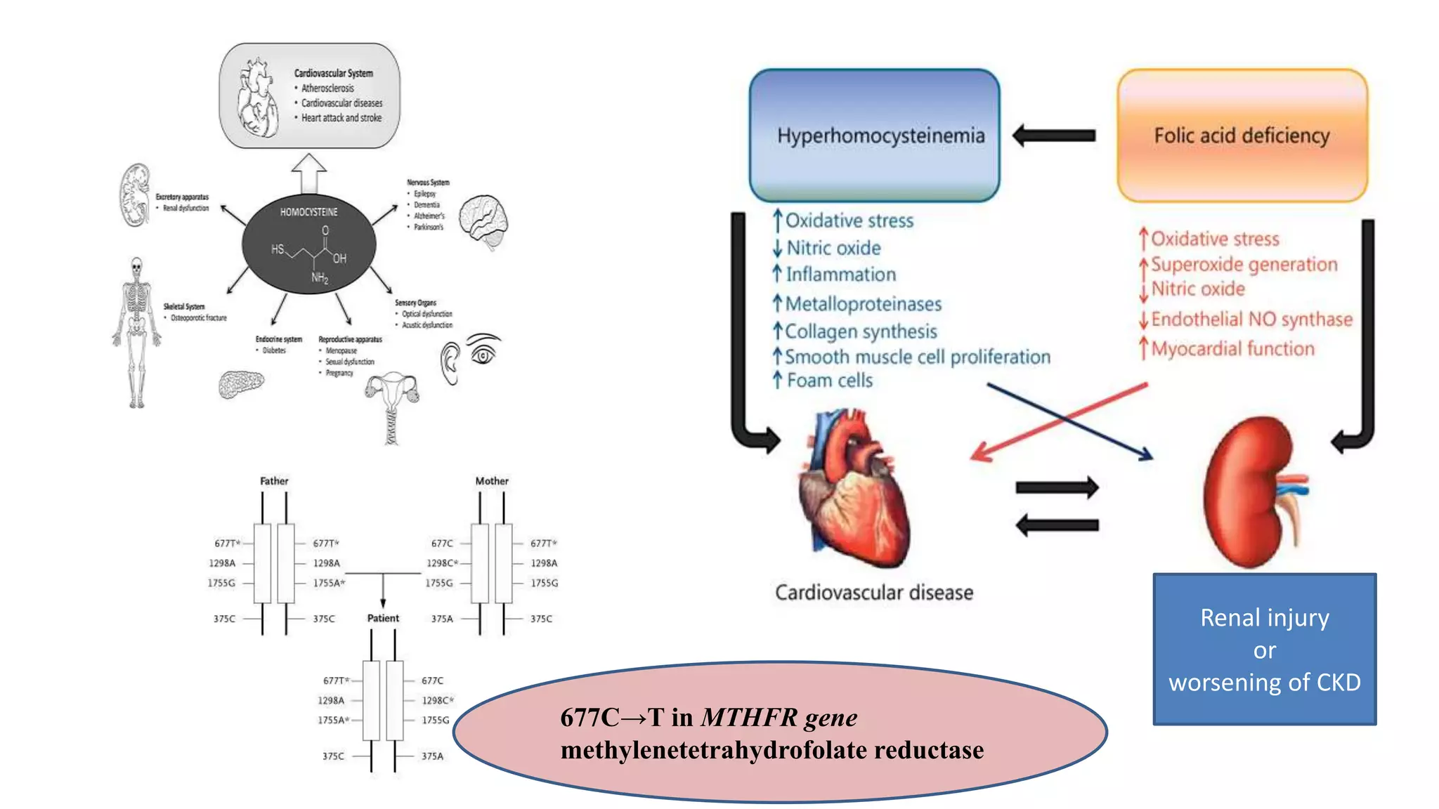 Hypercoagulable state.pptx
