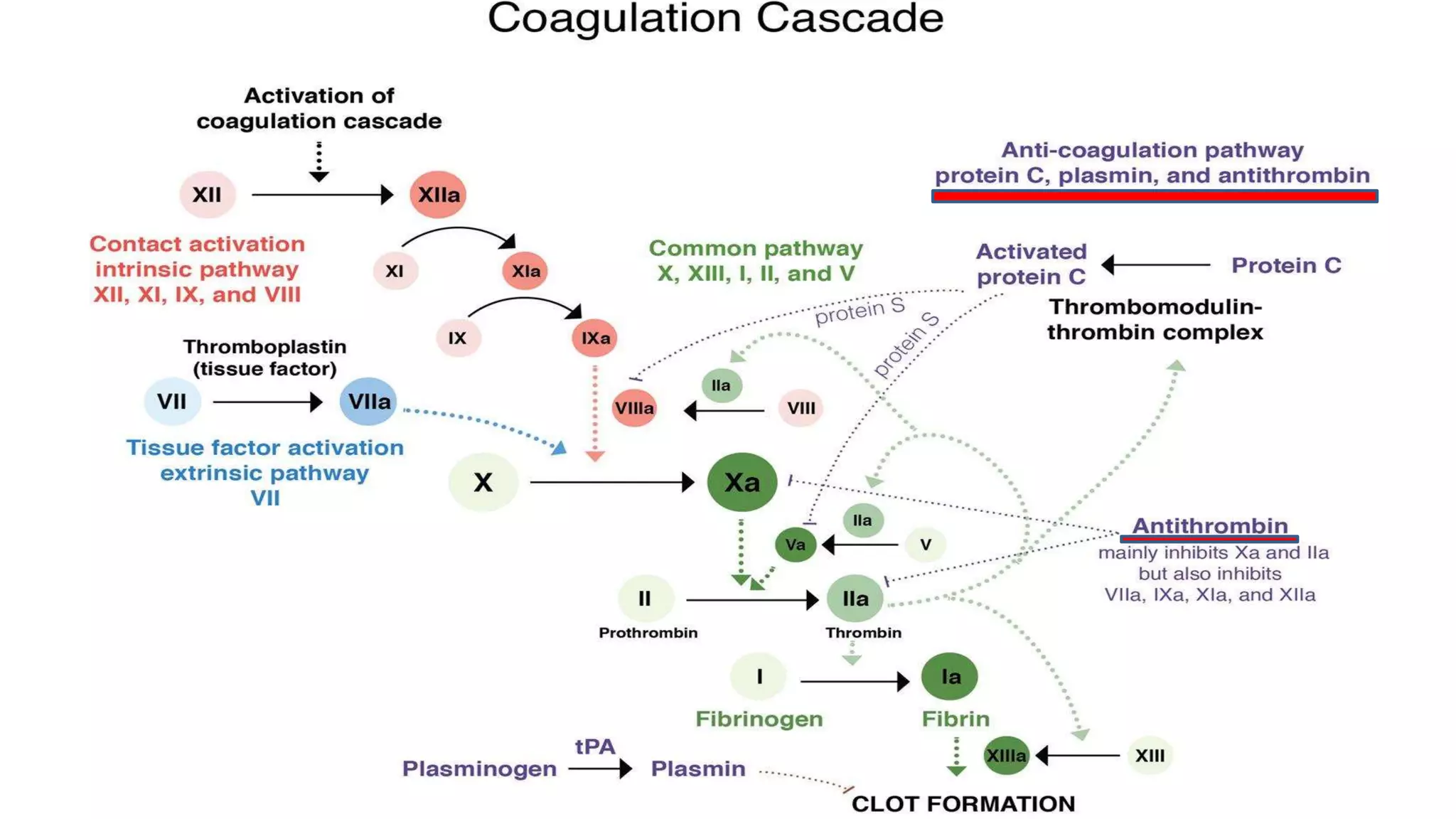 Hypercoagulable state.pptx