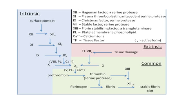 Hypercoagulable state.pptx