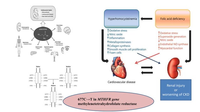 Hypercoagulable state.pptx