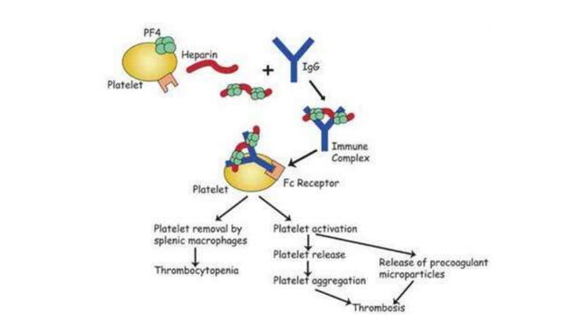 Hypercoagulable states | PPTX