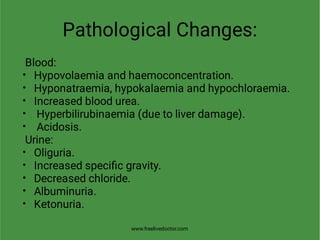 Hyperemesisgravidarum 100515015818-phpapp01 | PDF
