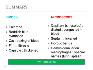 Hemodynamics - Hyperemia | PPTX