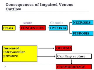 Hemodynamics - Hyperemia | PPTX