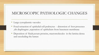 Hyperfiltration injury | PPTX