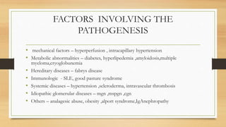 Hyperfiltration injury | PPTX