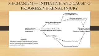 Hyperfiltration injury | PPTX
