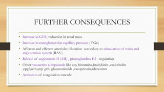 Hyperfiltration injury | PPTX