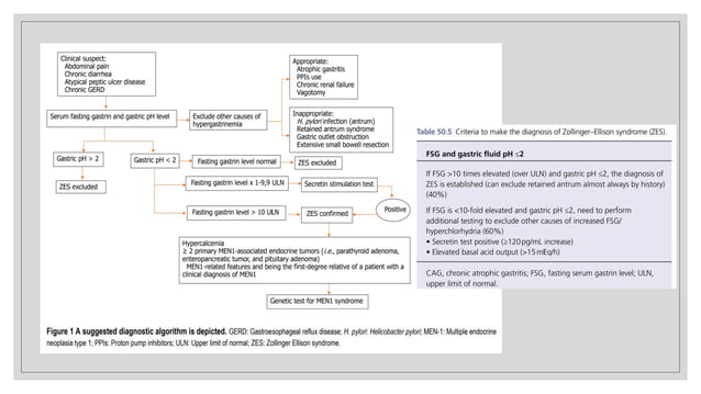 HYPERGASTRINEMIA AND ZOLLINGER ELLISON SYNDROME.pptx