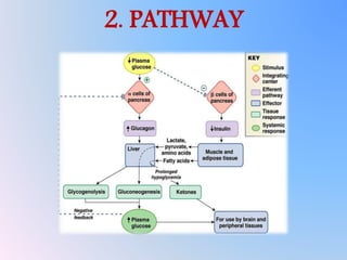 Hyperglycemia | PPTX