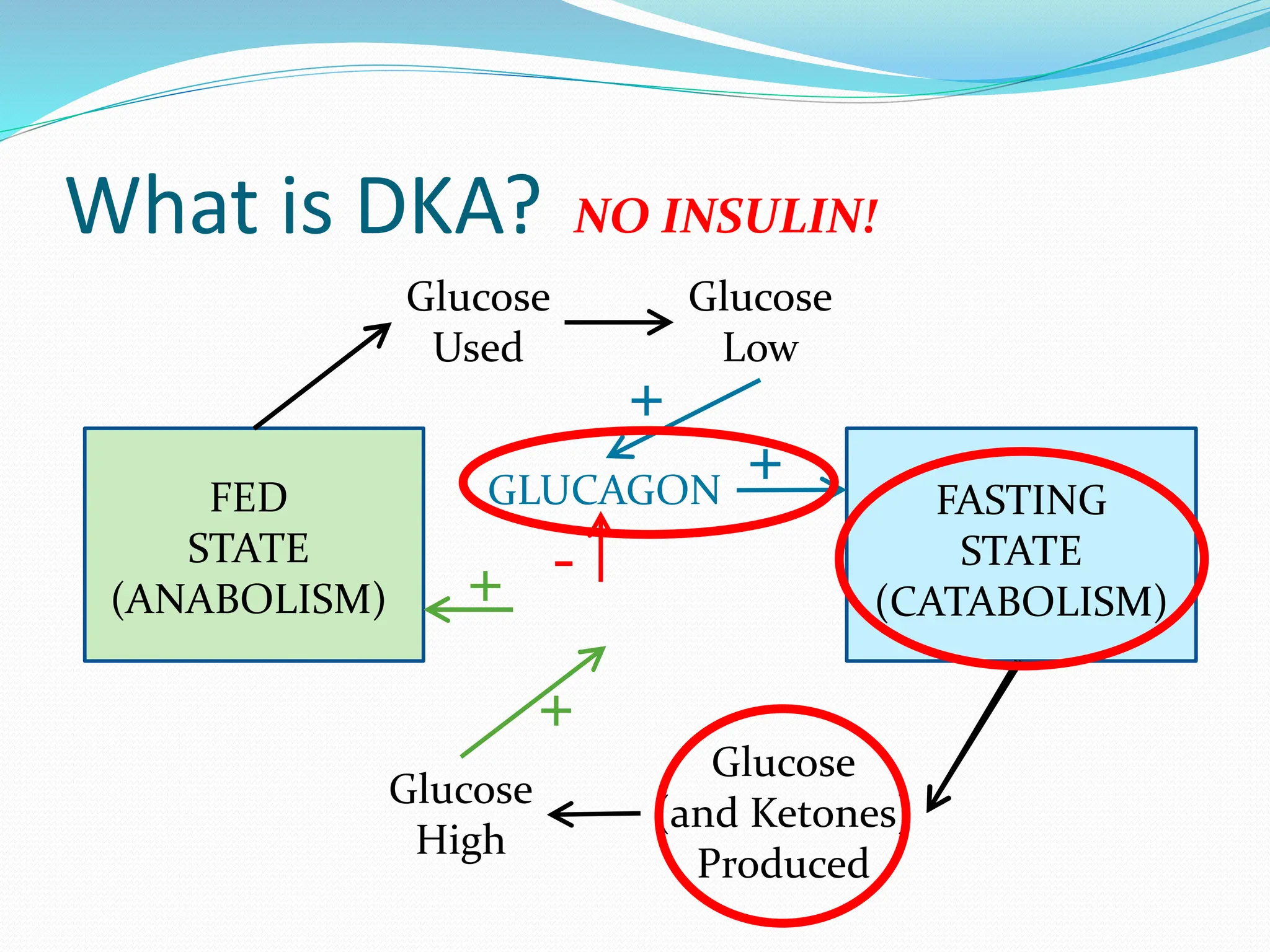 Hyperglycemia-DKA-and-HHS.pptx