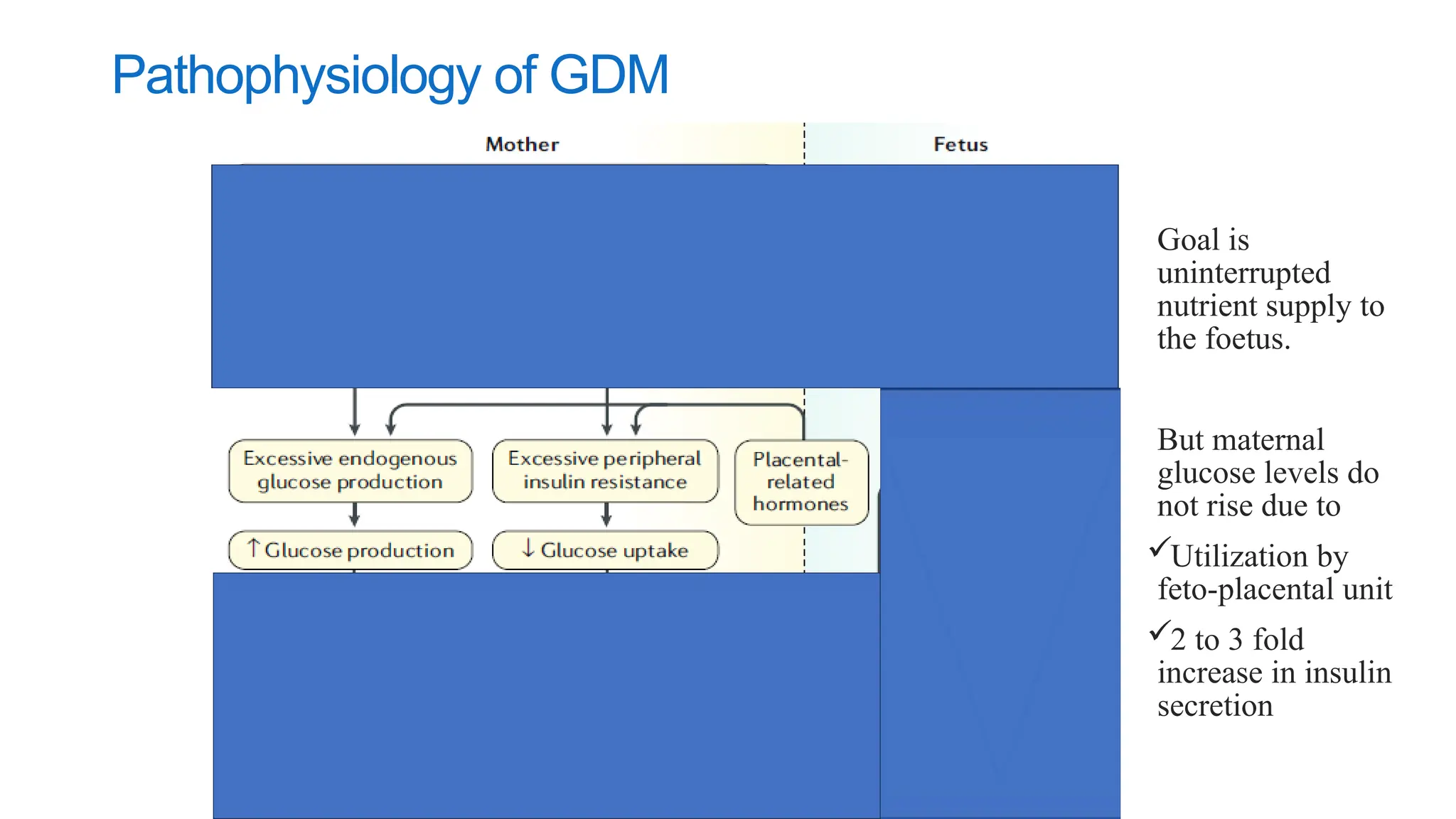 Hyperglycemia in pregnancy and its management.pptx