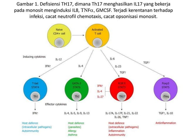 Hyper IgE Syndrome | PPTX