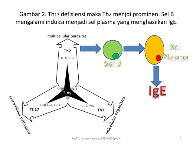 Hyper IgE Syndrome | PPTX
