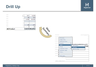 Hyperion Analyzer Web Client | PPT
