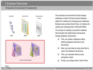 Hyperion essbase basics | PPTX | Databases | Computer Software and Applications