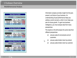 Hyperion essbase basics | PPTX | Databases | Computer Software and Applications