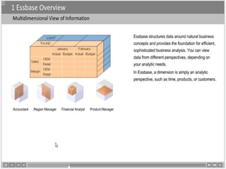 Hyperion essbase basics | PPTX | Databases | Computer Software and Applications