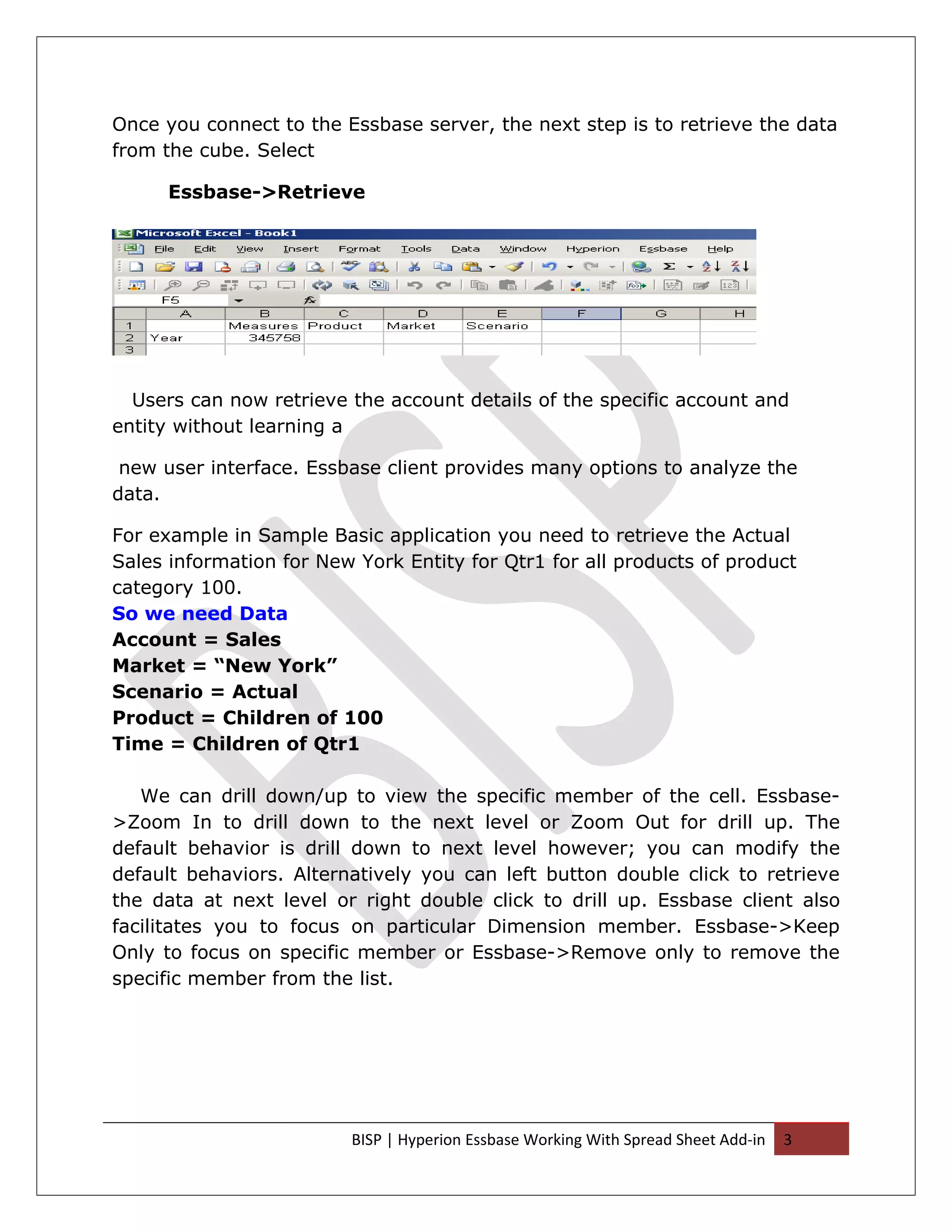 Hyperion essbase working with spread sheet | PDF