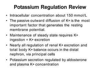 Approach to Hyperkaliemia | PPTX