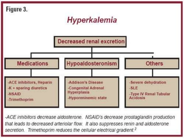 Hyperkalemia | PPT
