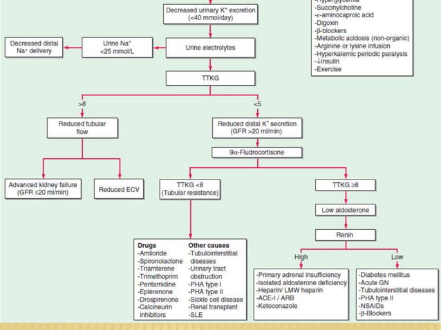 Hyperkalemia | PPTX | Endocrine and Metabolic Diseases | Diseases and ...