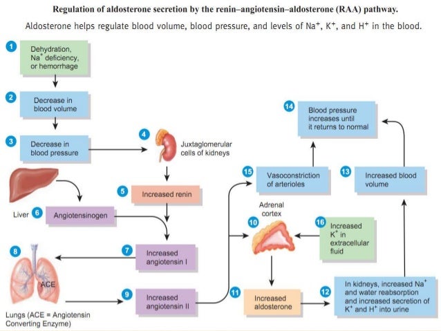 Hyperkalemia