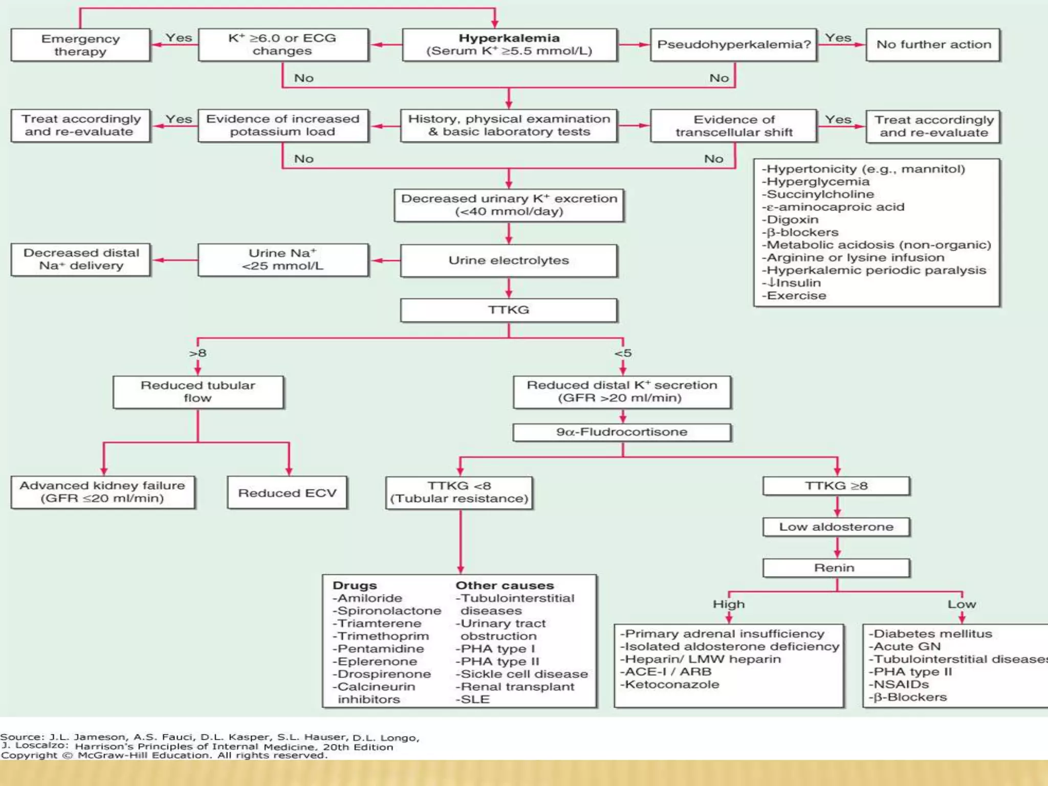 Diagnosis and management of Hyperkalemia | PPTX