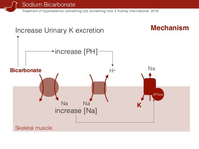 Hyperkalemia management
