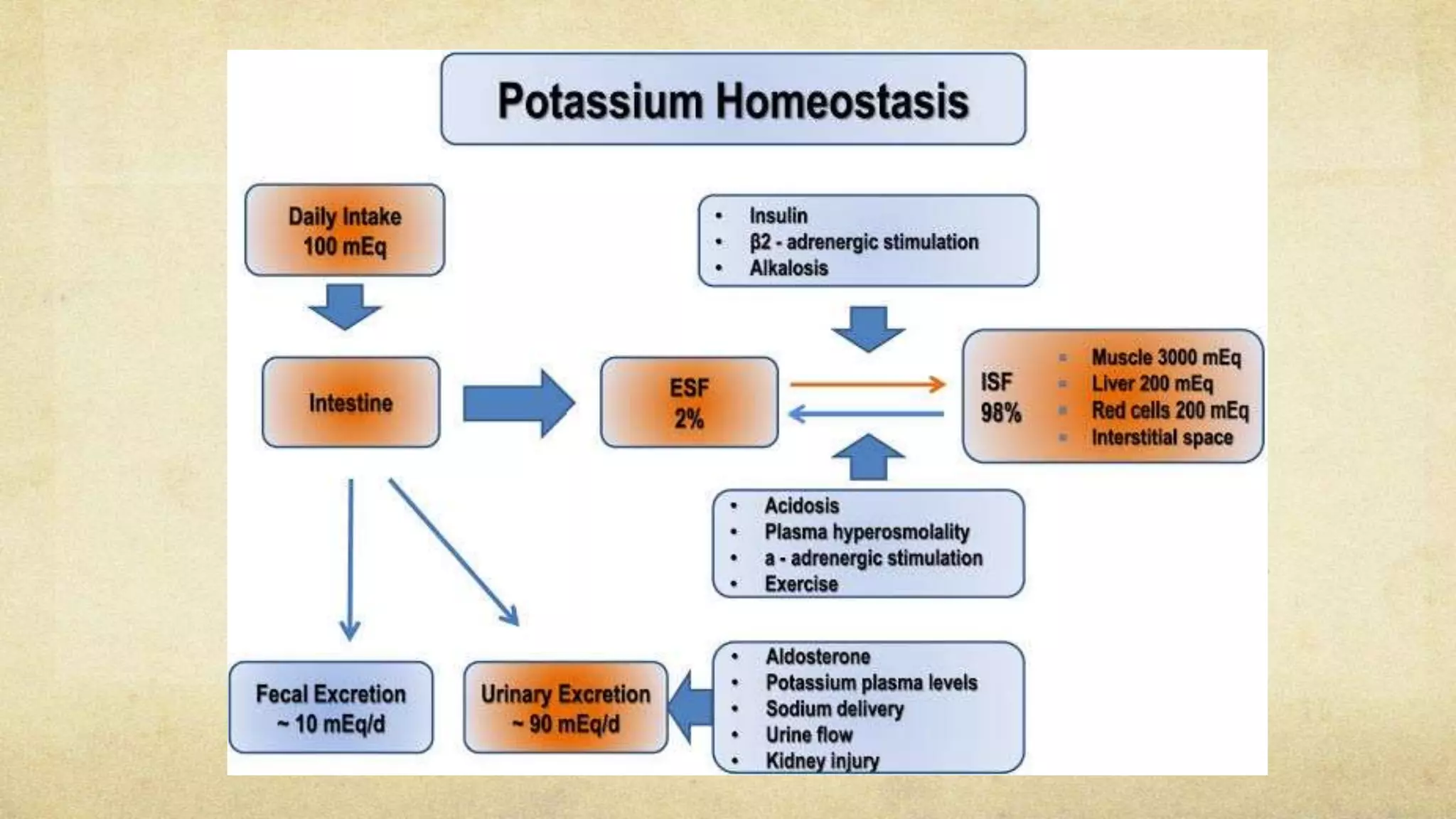 Hyperkalemia pathophysiology and treatment | PPTX