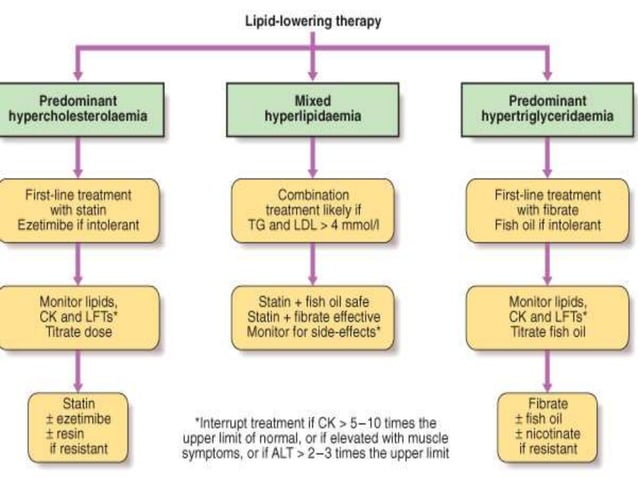 Hyperlipidemia | PPT