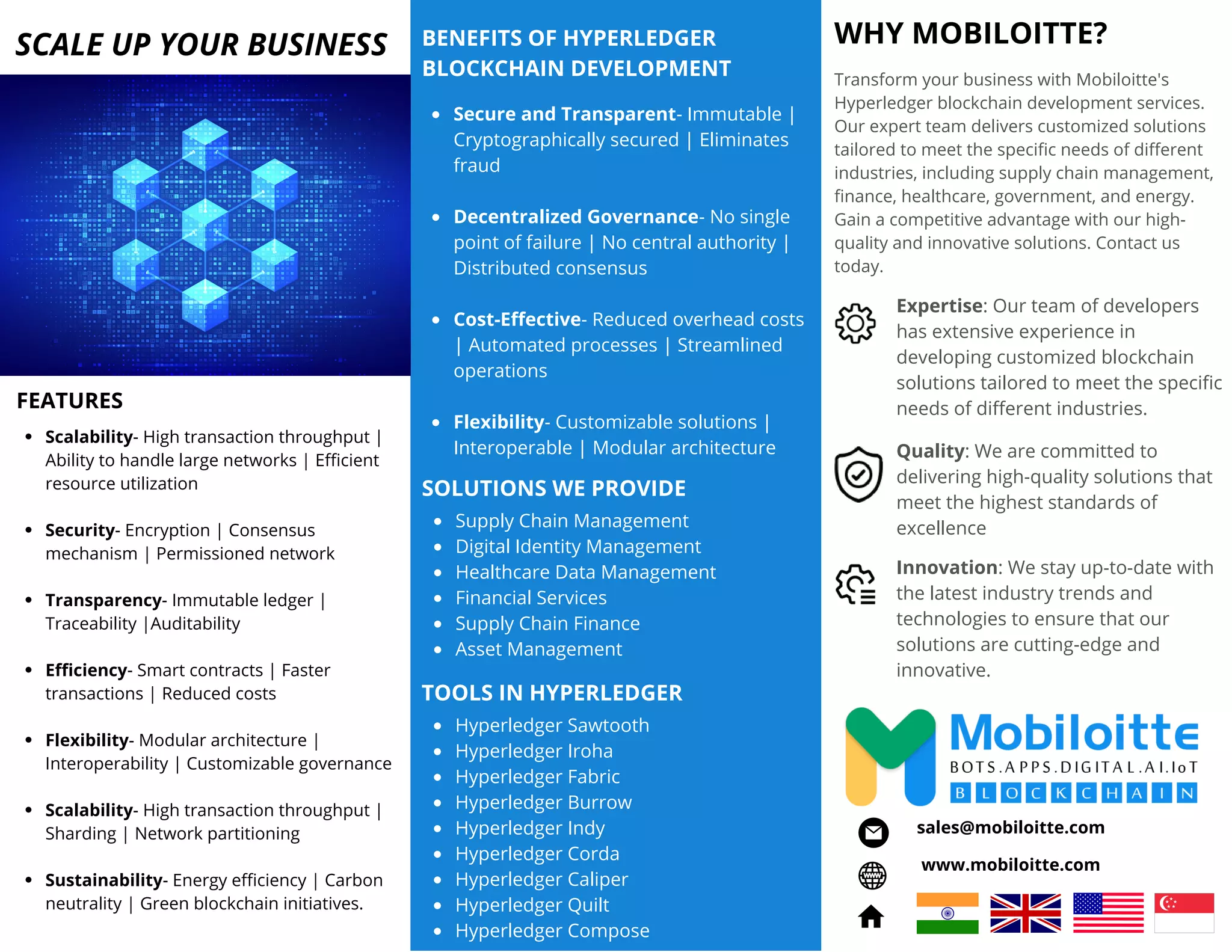 Hyperledger Blockchain Development Services | PPT