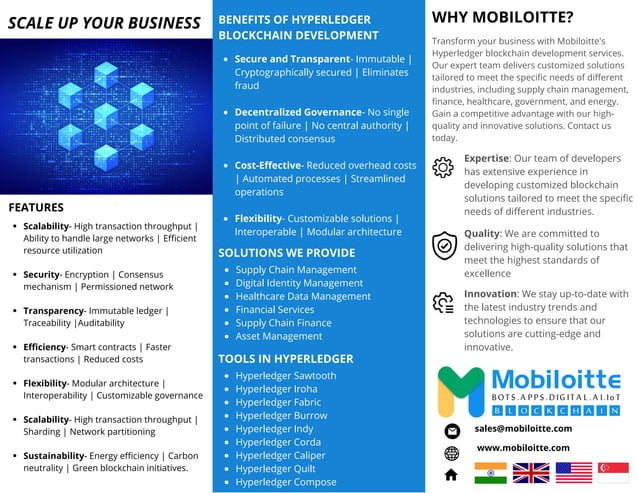 Hyperledger Blockchain Development Services | PPT