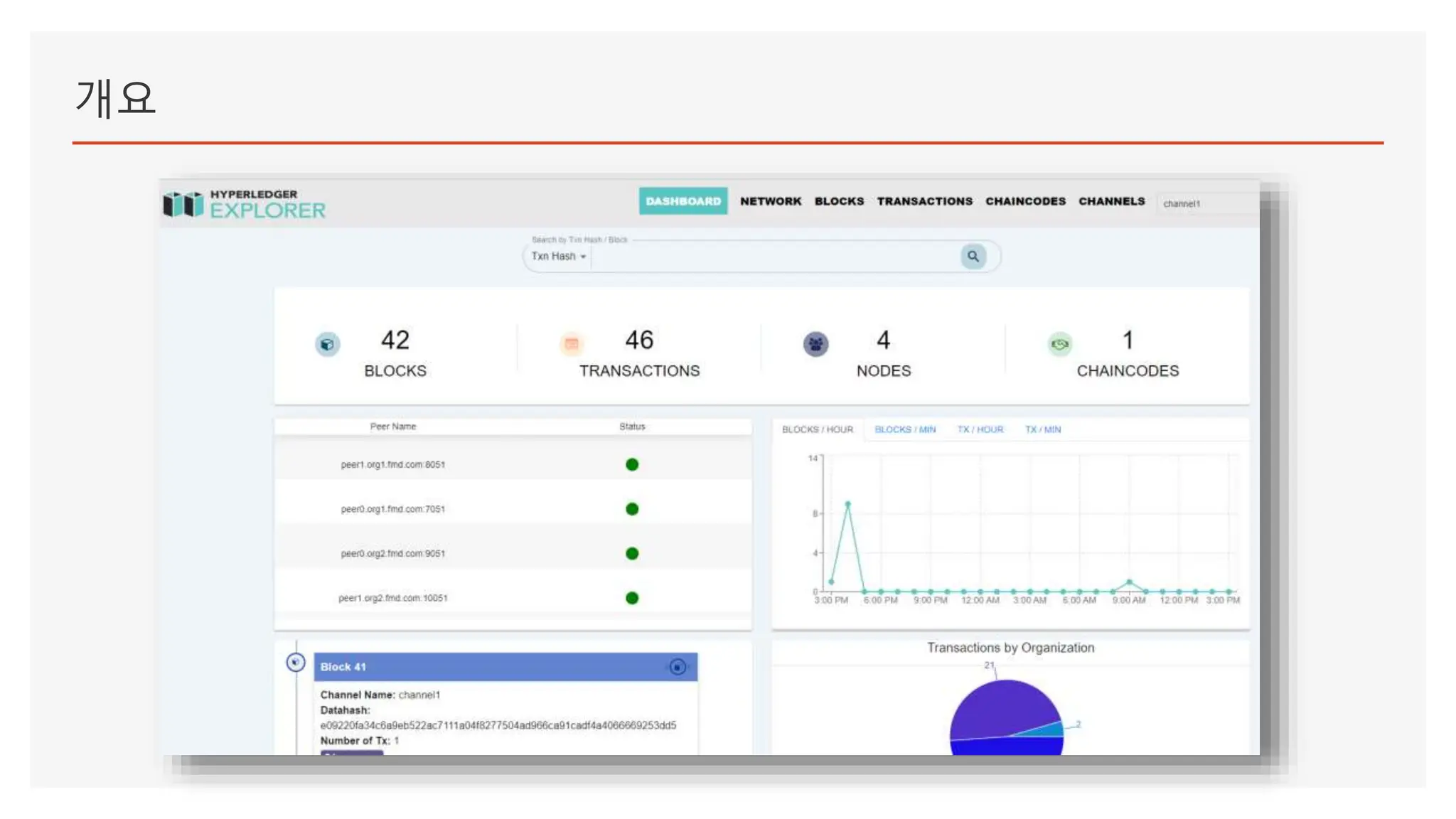 Hyperledger Explorer.pptx