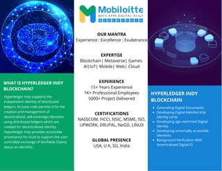 Hyperledger Blockchain Development Services | PPT