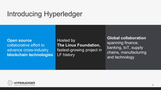 Hyperledger Overview Feb 2017 | PPT