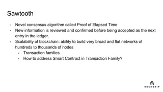 Hyper ledger project | PDF