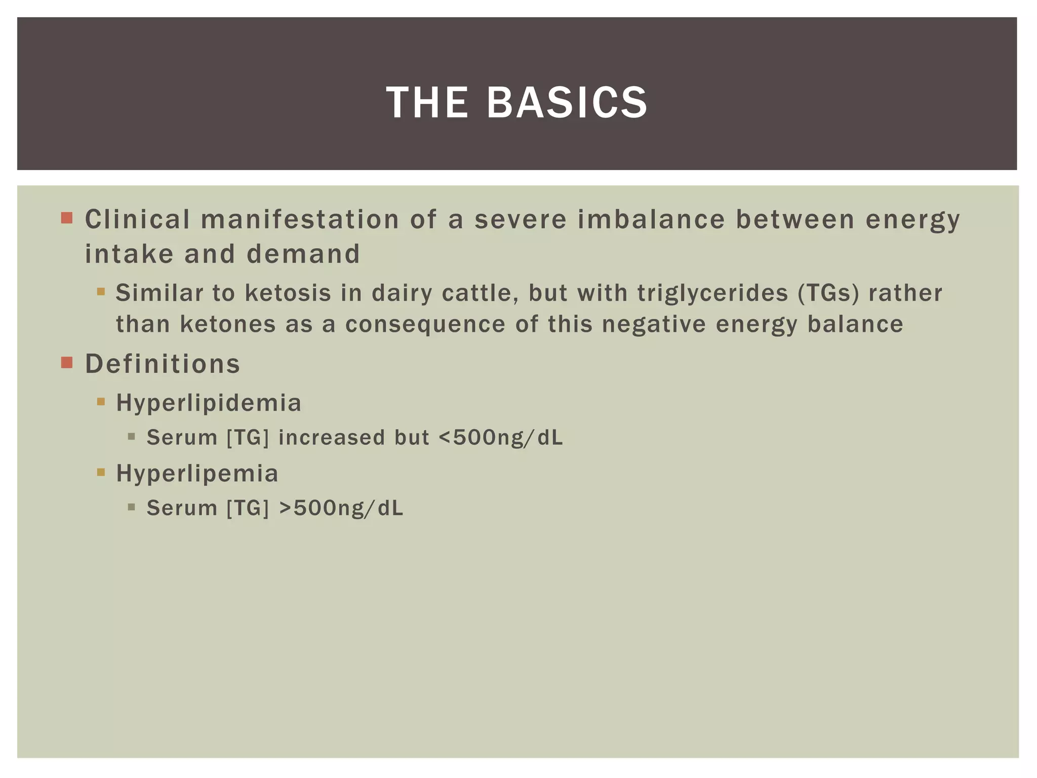 Hyperlipemia in Equids | PPT