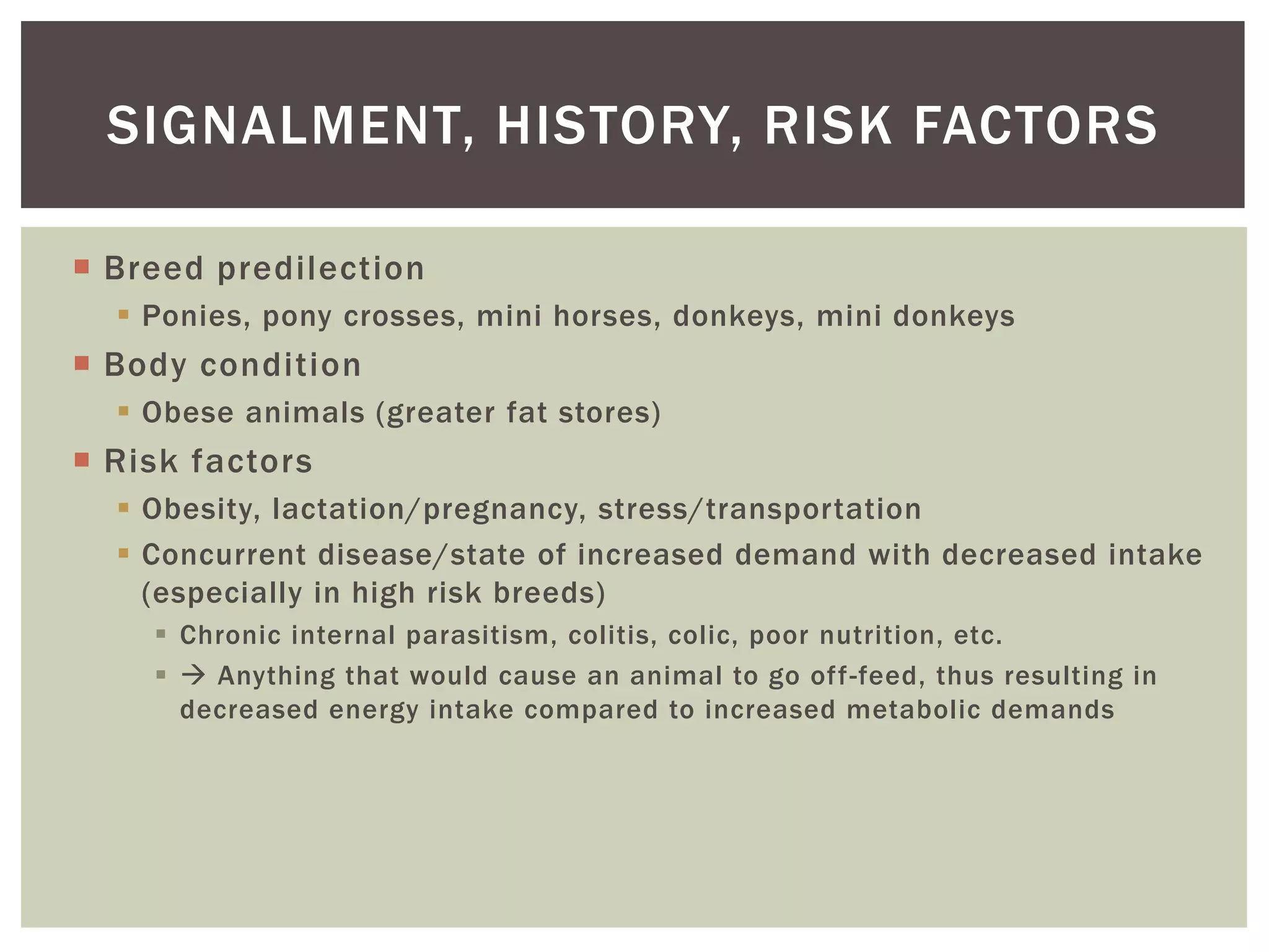 Hyperlipemia in Equids | PPT