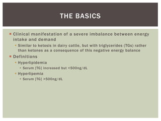 Hyperlipemia in Equids | PPTX
