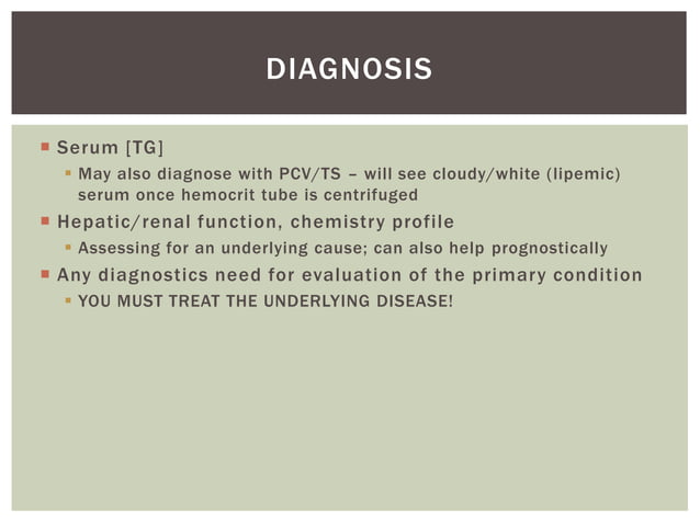 Hyperlipemia in Equids | PPT