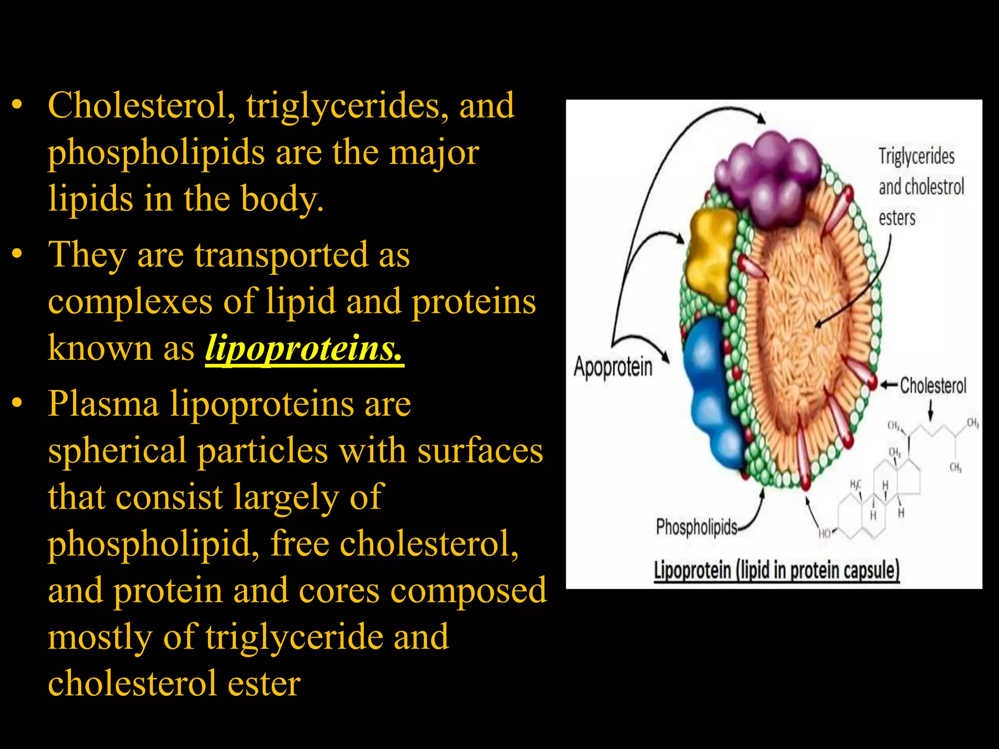 Hyperlipidaemia | PPT