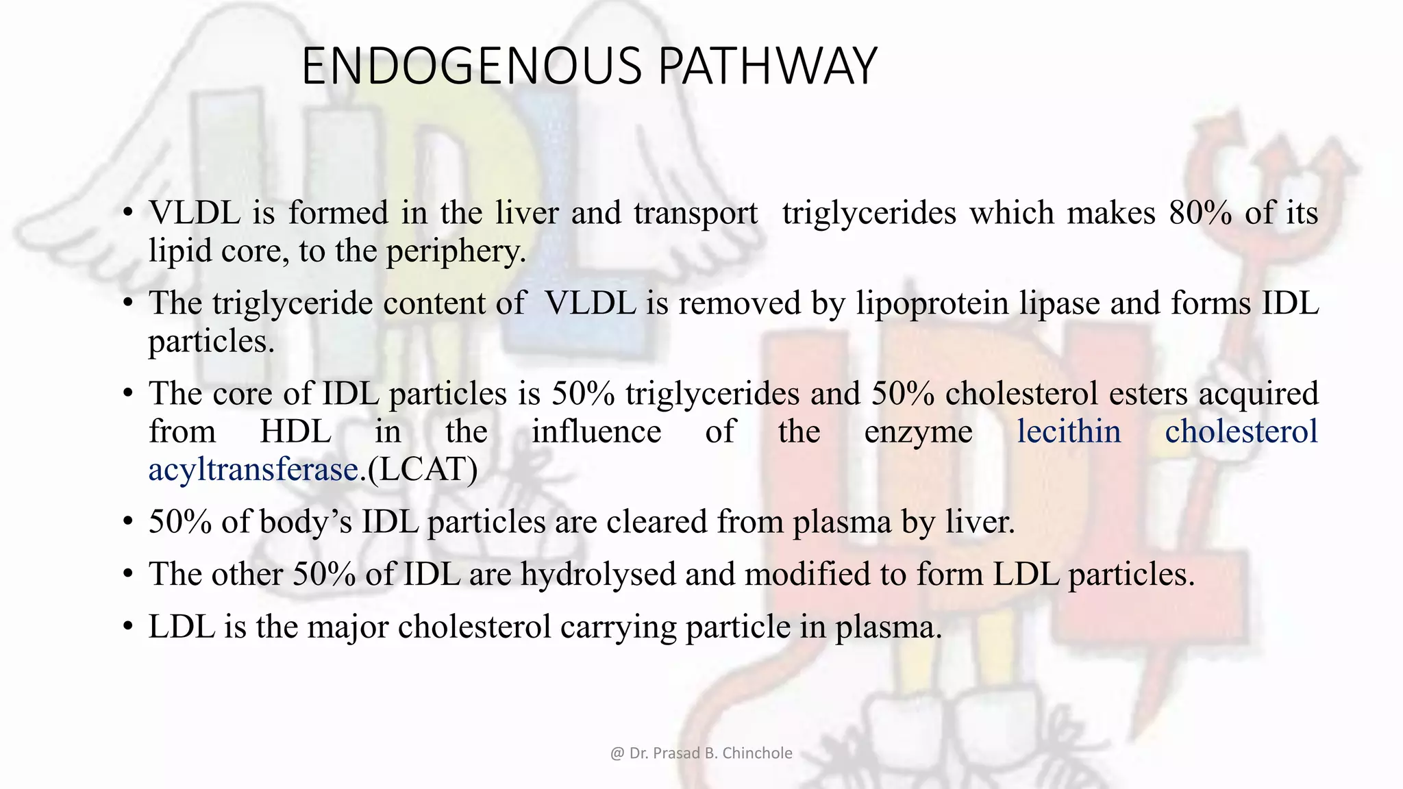 Hyperlipidaemias | PDF