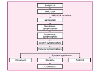 Hyperlipidemia | PPTX