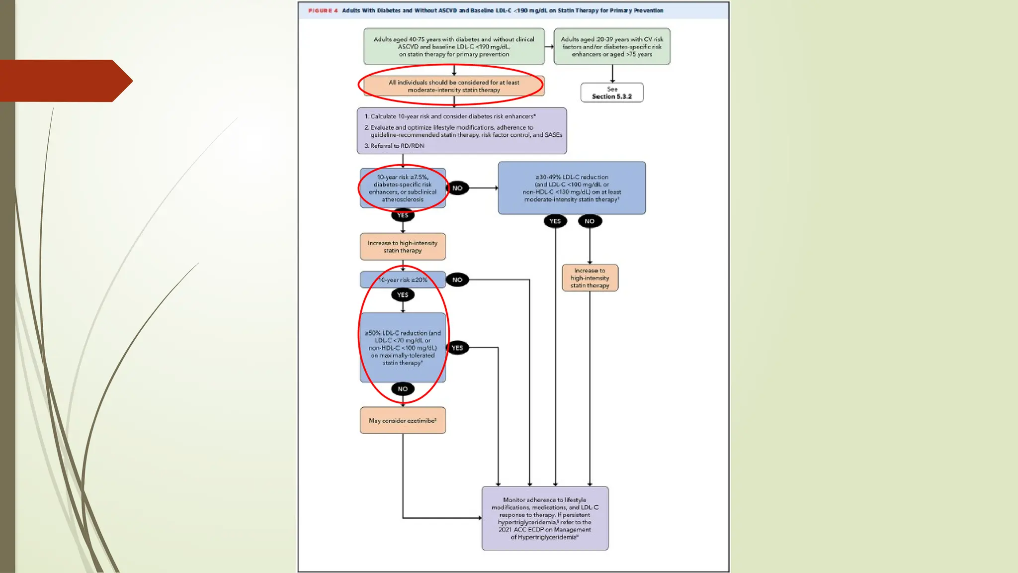 Latest updated hyperlipidemia guidelines.pptx