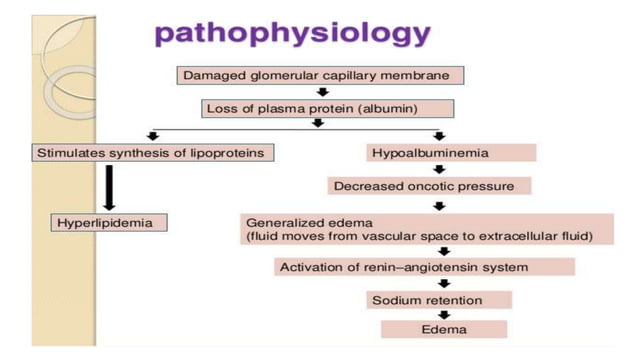 HYPERLIPIDEMIA | PPTX | Endocrine and Metabolic Diseases | Diseases and Conditions