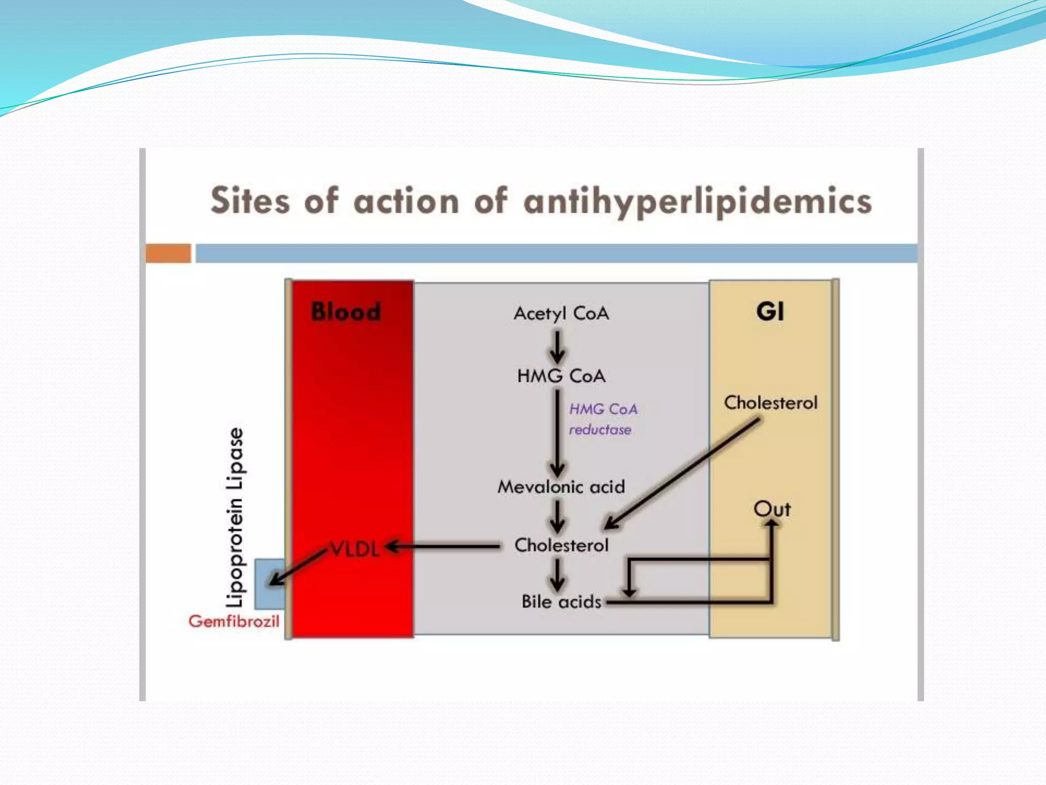 Hyperlipidemia and lipid lowering drugs | PPTX