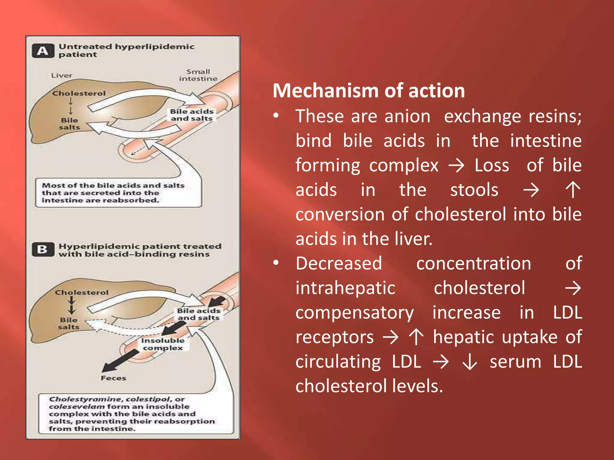 Hyperlipidemia | PPTX | Heart and Cardiovascular Diseases | Diseases ...