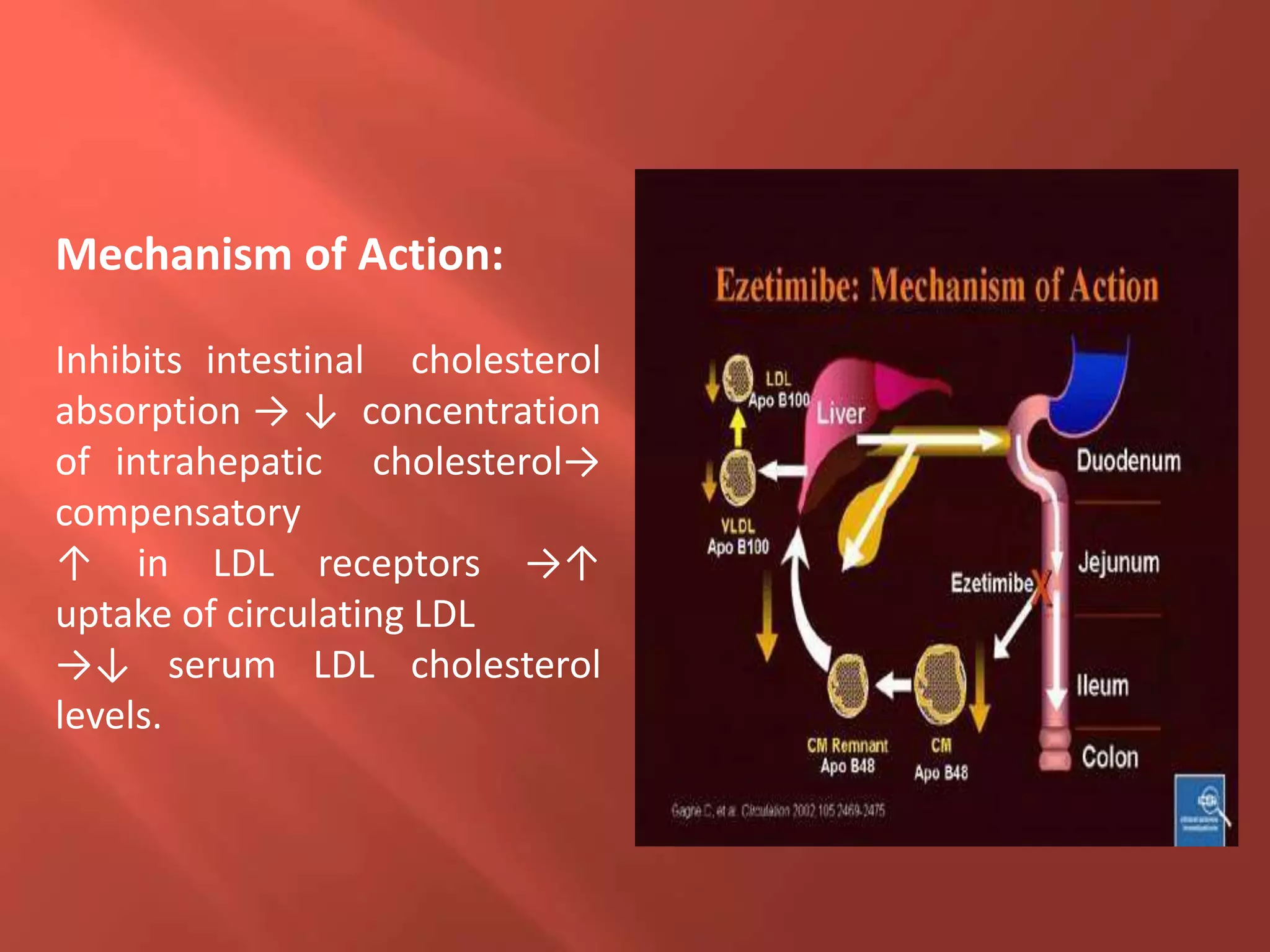 Hyperlipidemia | PPTX | Heart and Cardiovascular Diseases | Diseases ...
