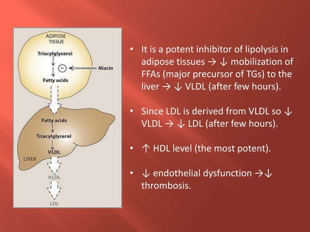 Hyperlipidemia | PPTX | Heart and Cardiovascular Diseases | Diseases ...